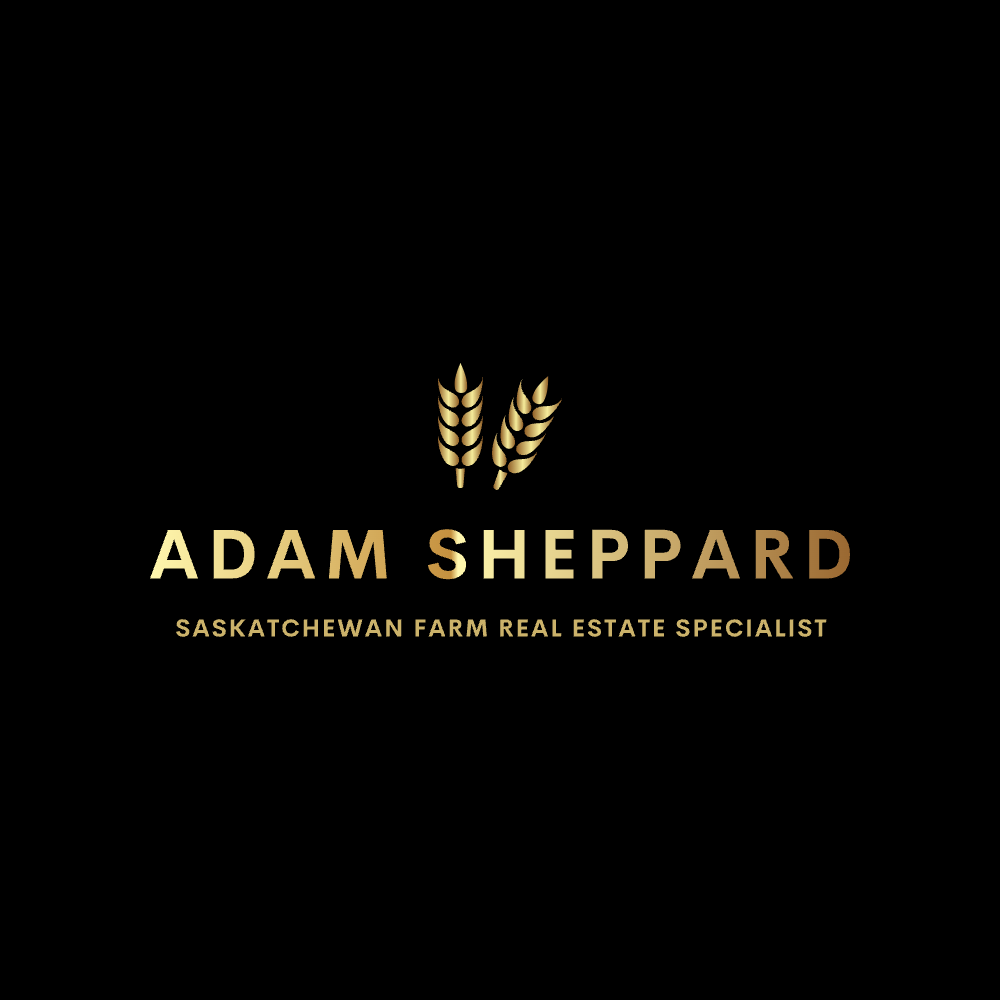 Adam Sheppard : Realty Executives Prosperity : Home
